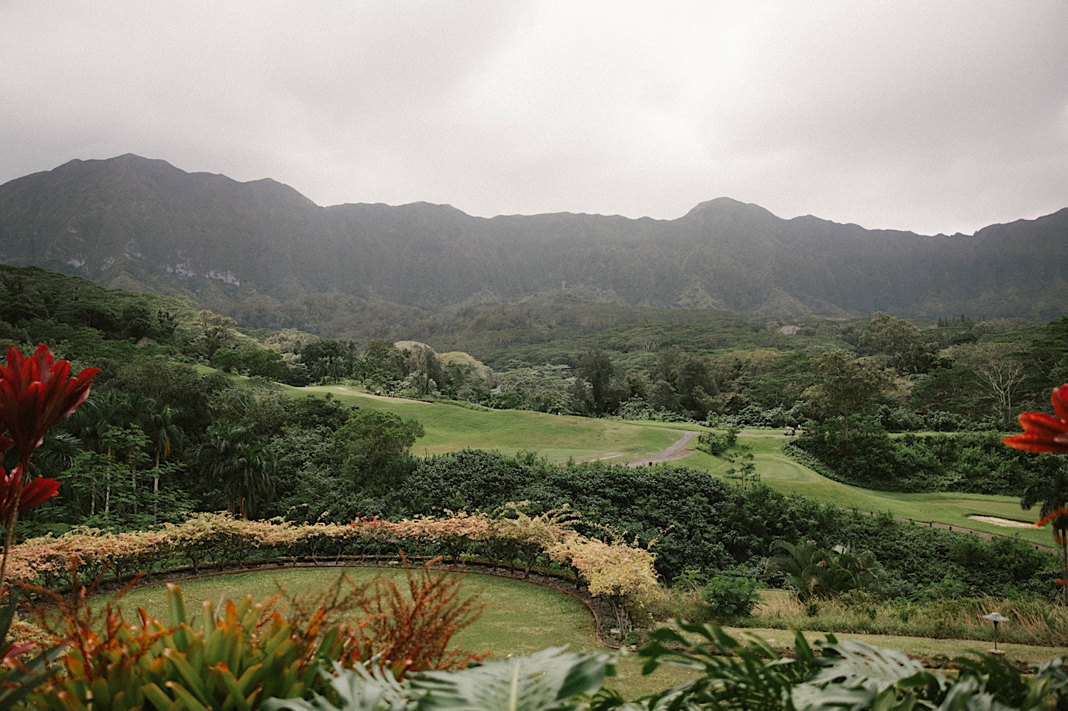 Timeless Wedding on Oahu | Melissa and Austin - Mersadi Olson Wedding ...