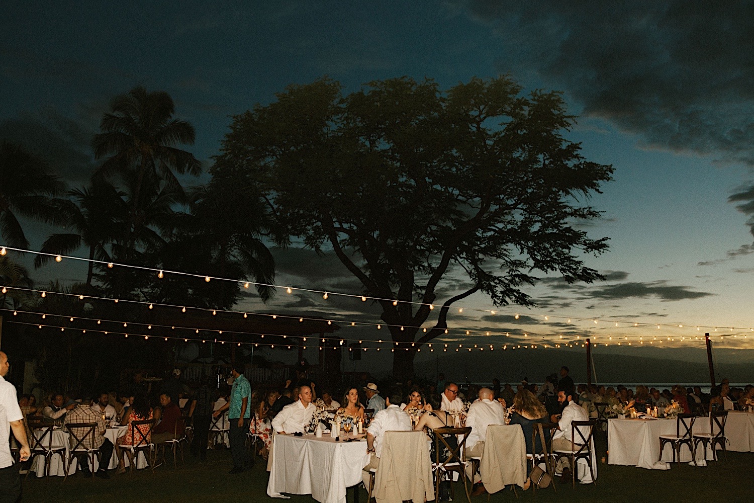 A Look at My Client Experience as a Maui Wedding Photographer - Mersadi ...
