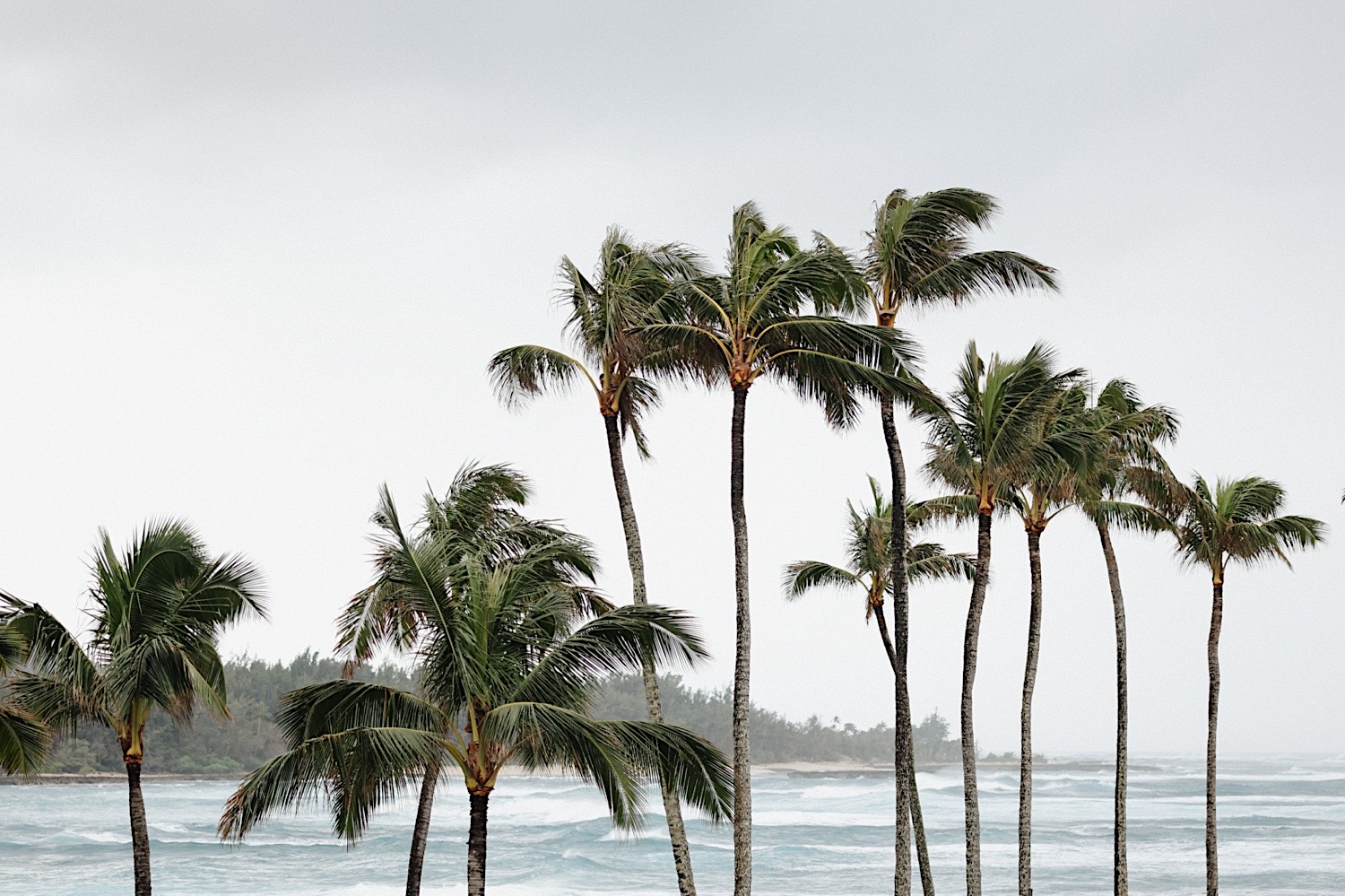 Breathtaking Wedding at Turtle Bay on Oahu | Keely + Kamu - Mersadi ...